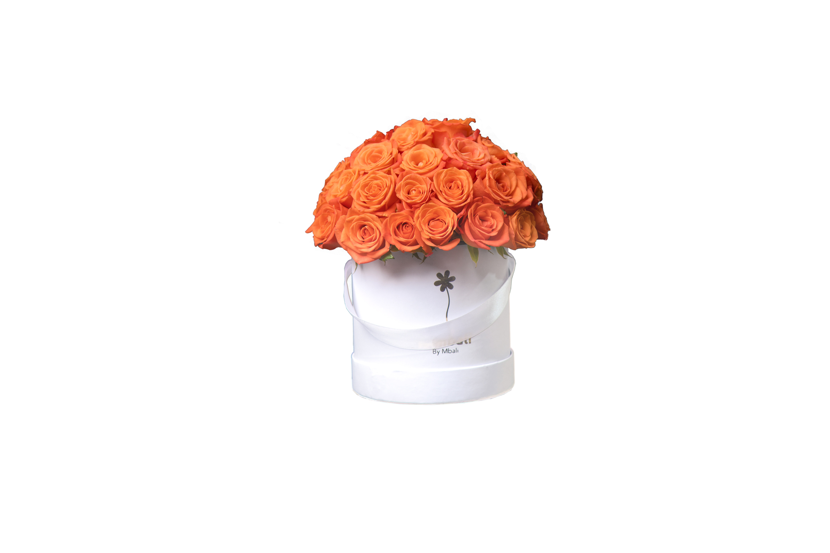 Classic Rose Box – Orange Roses – Izimbalibymbali